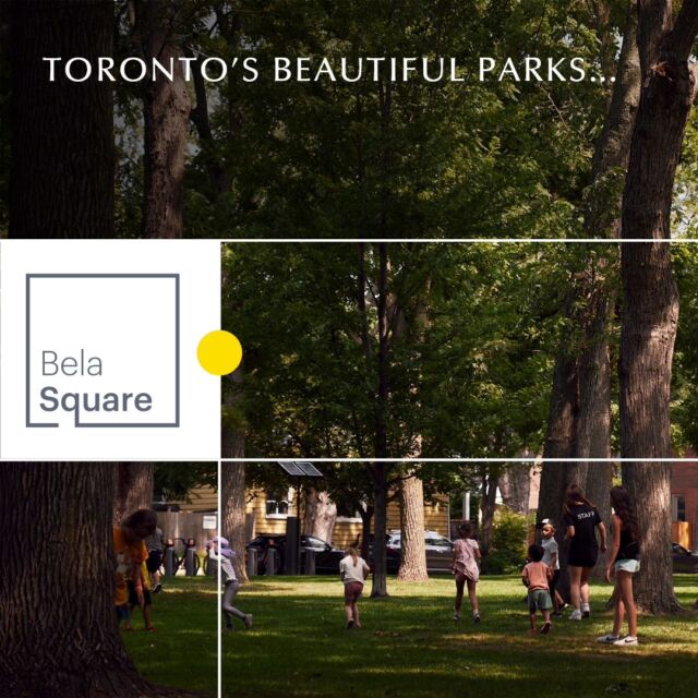 Neighbourhood - Bela Square